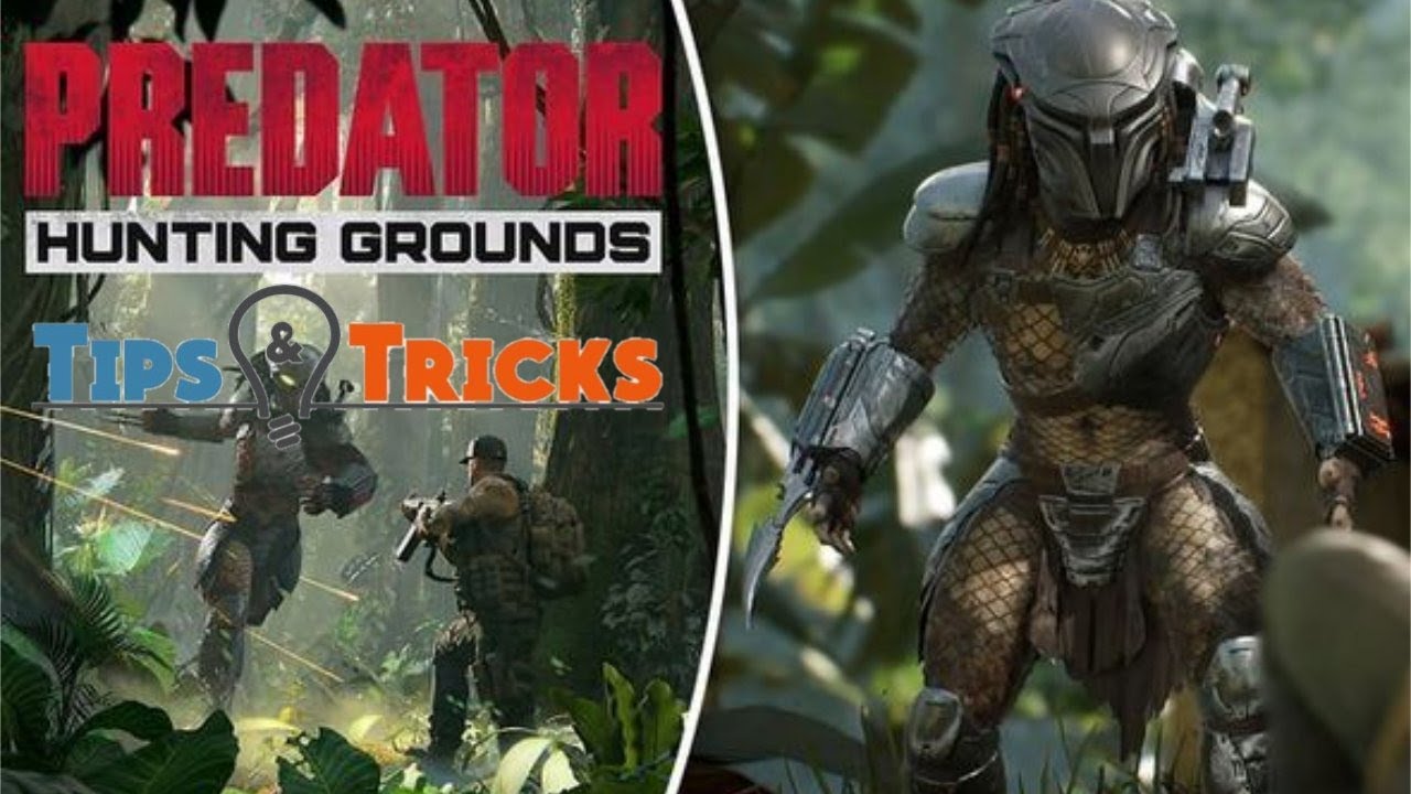 How to Kill Predator | Tips & Tricks | Predator: Hunting Grounds - YouTube