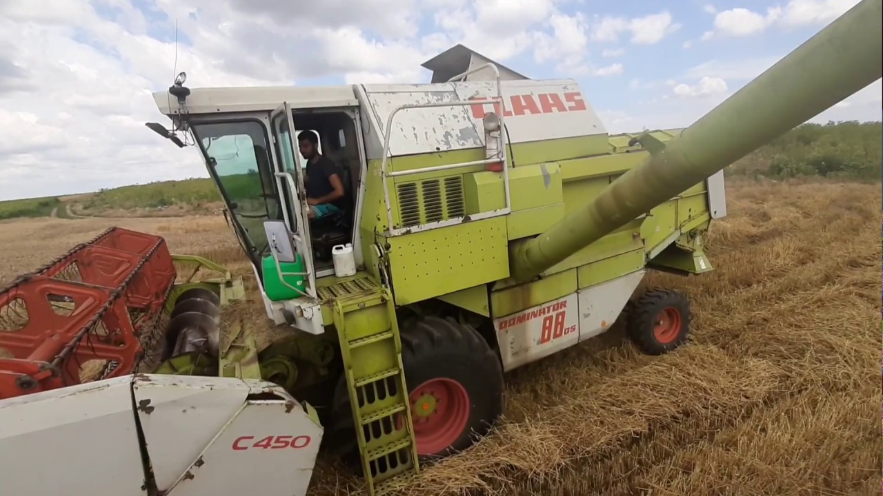 Claas Dominator 88 DS recoltare grau 2020 - YouTube