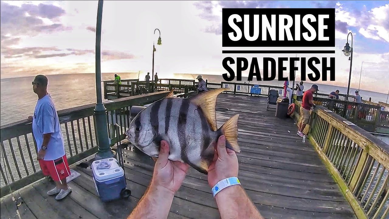 How to catch BIG spade fish from the pier! - Hampton, VA (buckroe pier ...