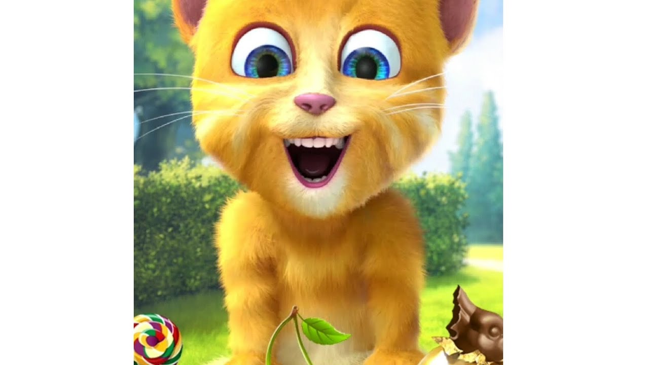 Talking Gingercat eating 😋 🤣 🍒🍭🍫 - YouTube