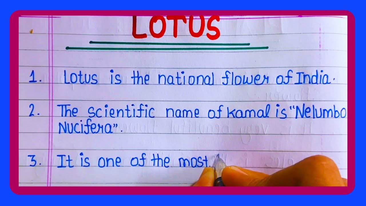 Essay On Lotus Flower| 10 Lines on Lotus in English| Lotus Essay In ...