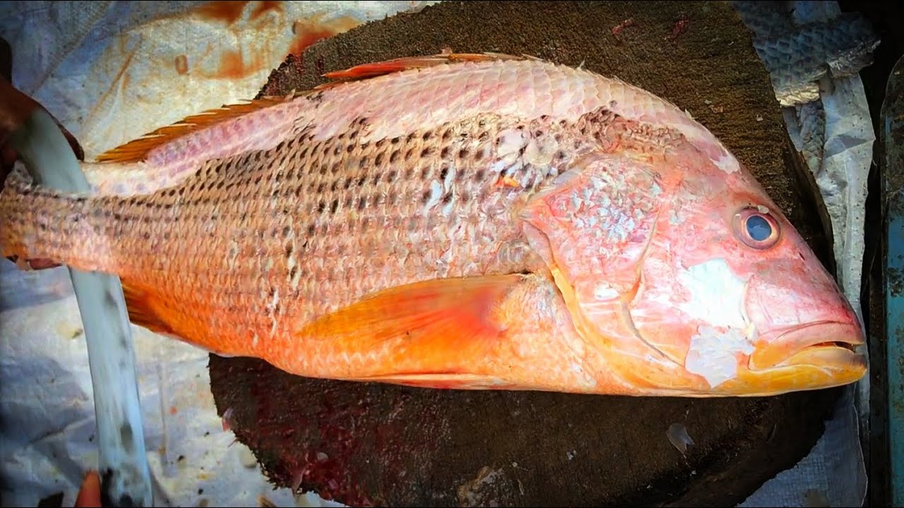 Skillful Fish Cutter Cutting Big Red Snapper Into Pieces At Fish Market ...