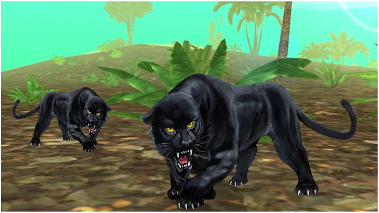 Wild Panther Sim 3D - Gameplay Wakthrough Part 1 - YouTube