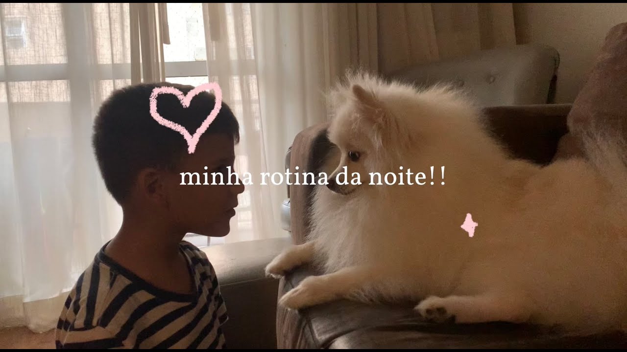 Minha rotina da noite😴😴 | clara assis - YouTube