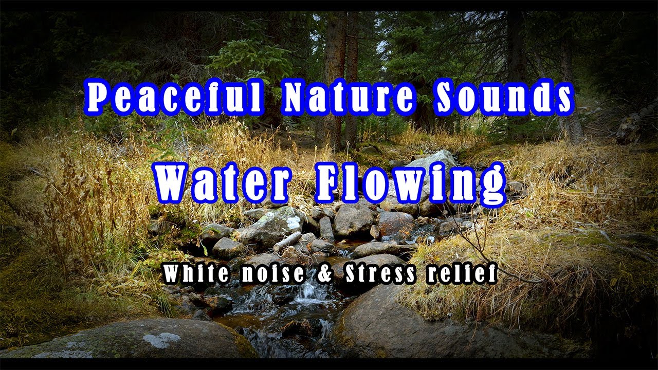 Deep Relaxation: Guided Meditation with Gentle Stream Sounds Peaceful ...