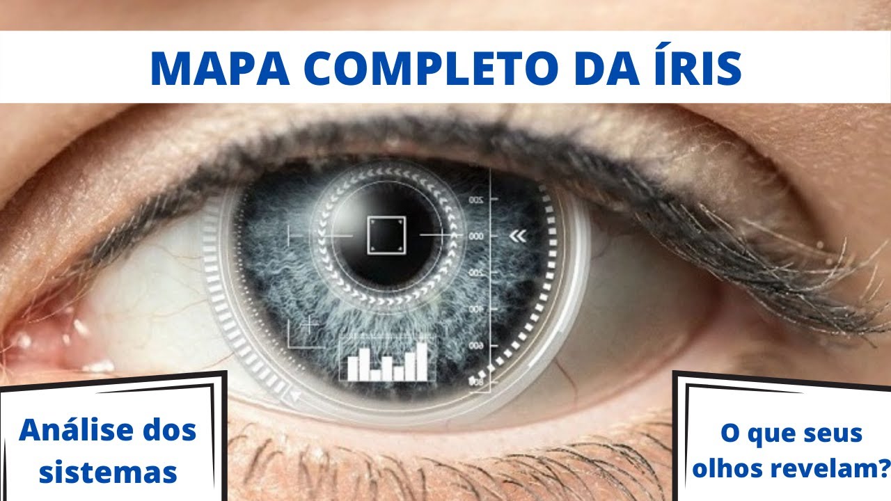 O Mapa da Íris: entenda como a Iridologia analisa os sistemas do corpo ...