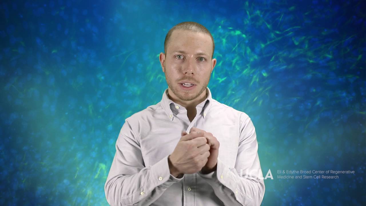 Austin McDonald - YouTube