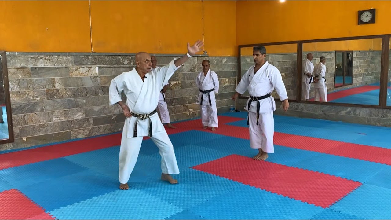 Teaching Unsu Kata by Jamsheed Jamsheed - YouTube