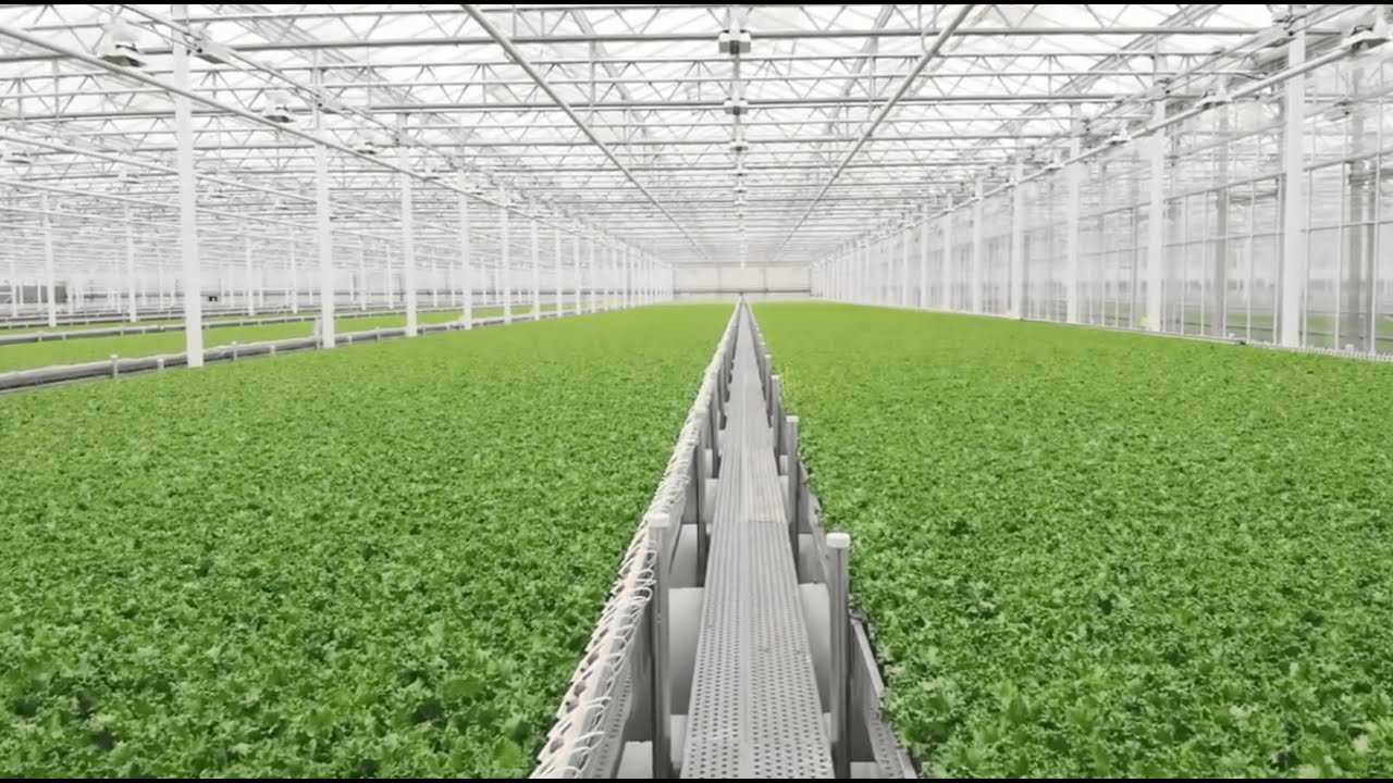 Touring Little Leaf Farms' High-Tech Greenhouse - YouTube