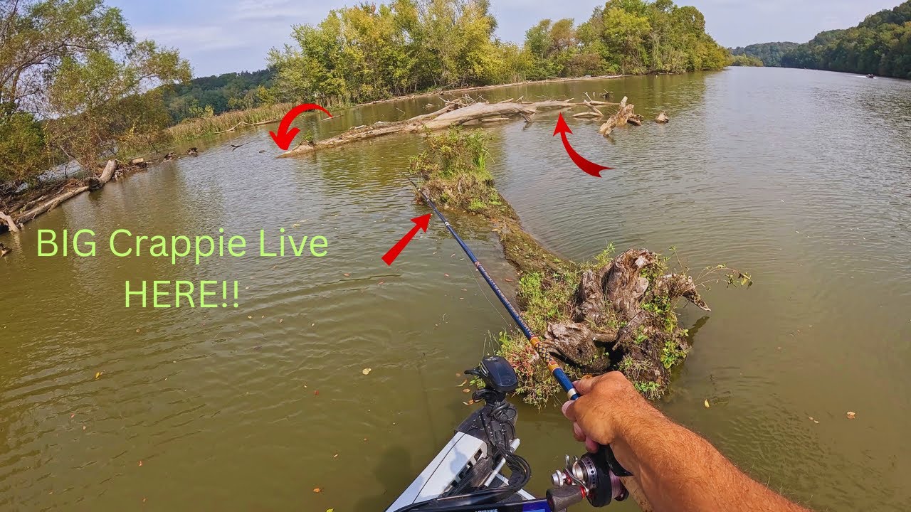 Crappie Fishing In HEAVY Cover With A JIG Pole! - YouTube