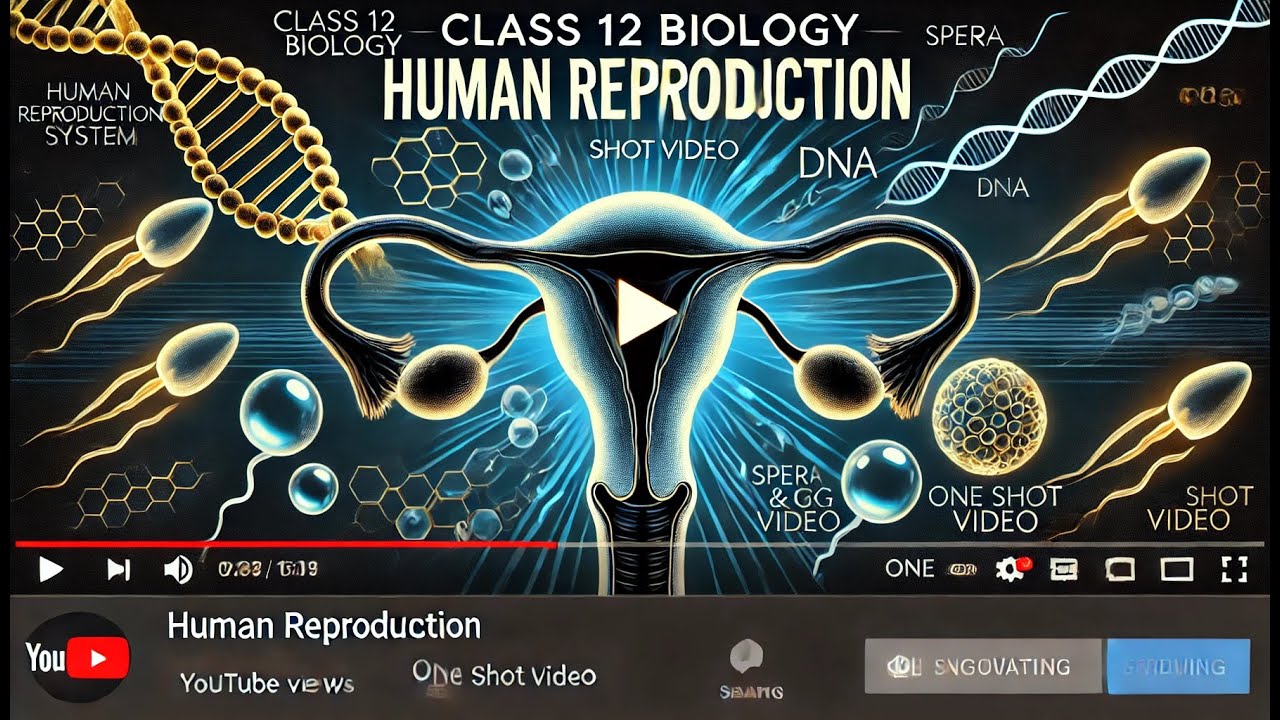 CBSE Class 12 || Biology || Human Reproduction || Part-I || Animation ...