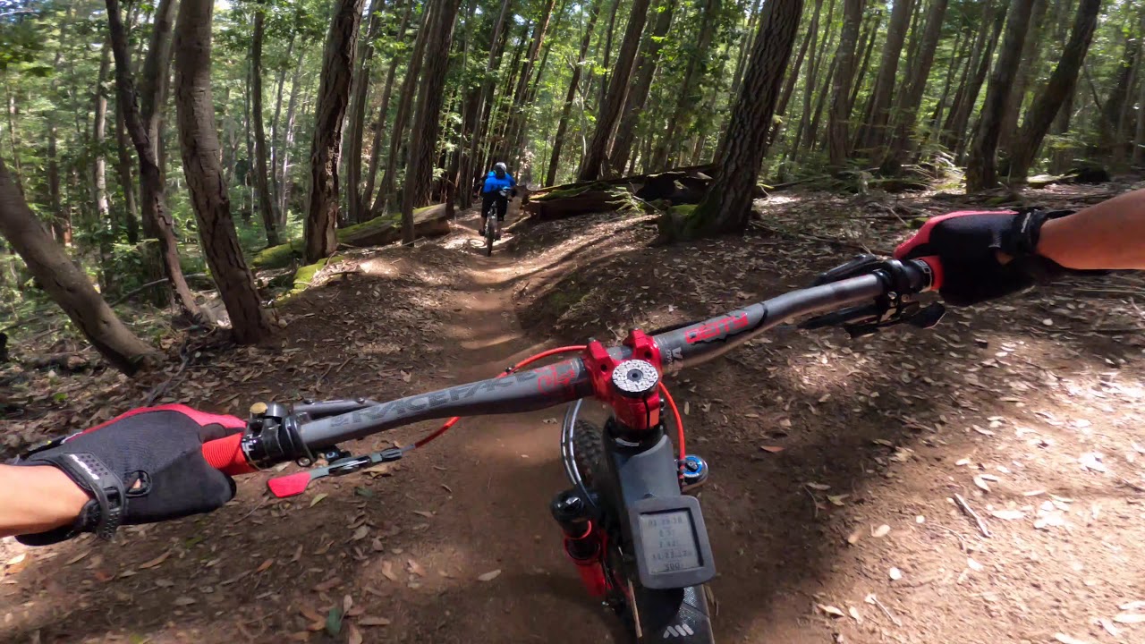 Follow Cam:Demo Forest - YouTube