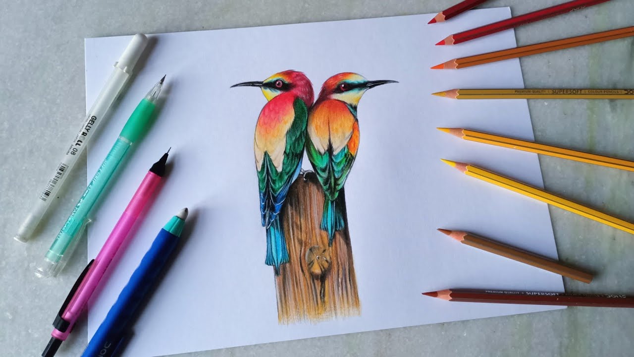 European bee eater drawing with Doms supersoft coloured pencils ...