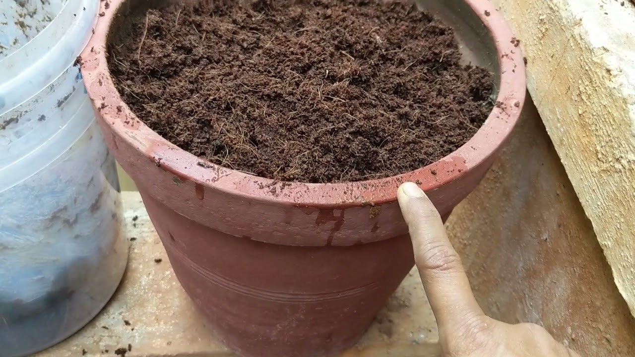 Aerobic Composting (Step 2) for Bokashi - YouTube