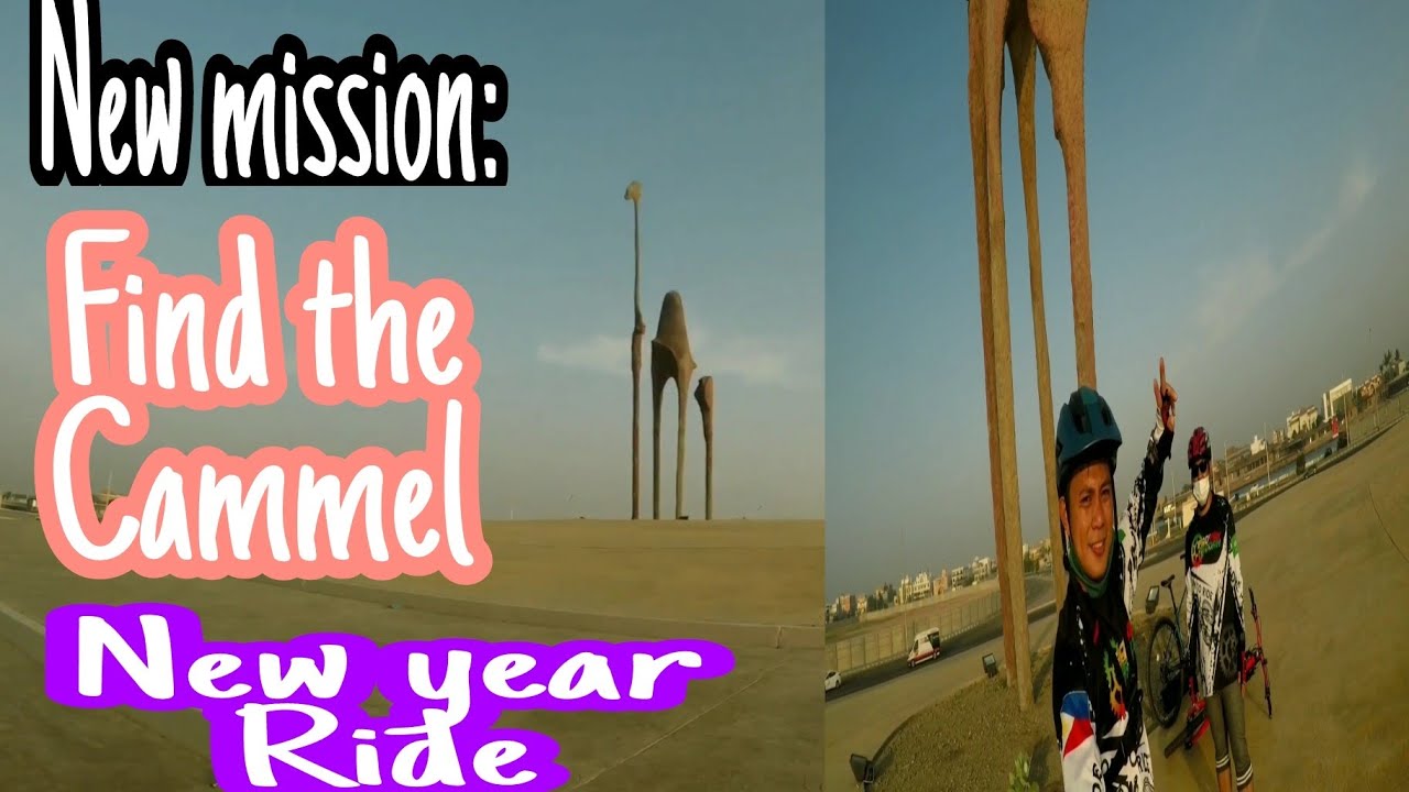 FIND THE CAMEL | HAPPY NEW YEAR RIDE - YouTube