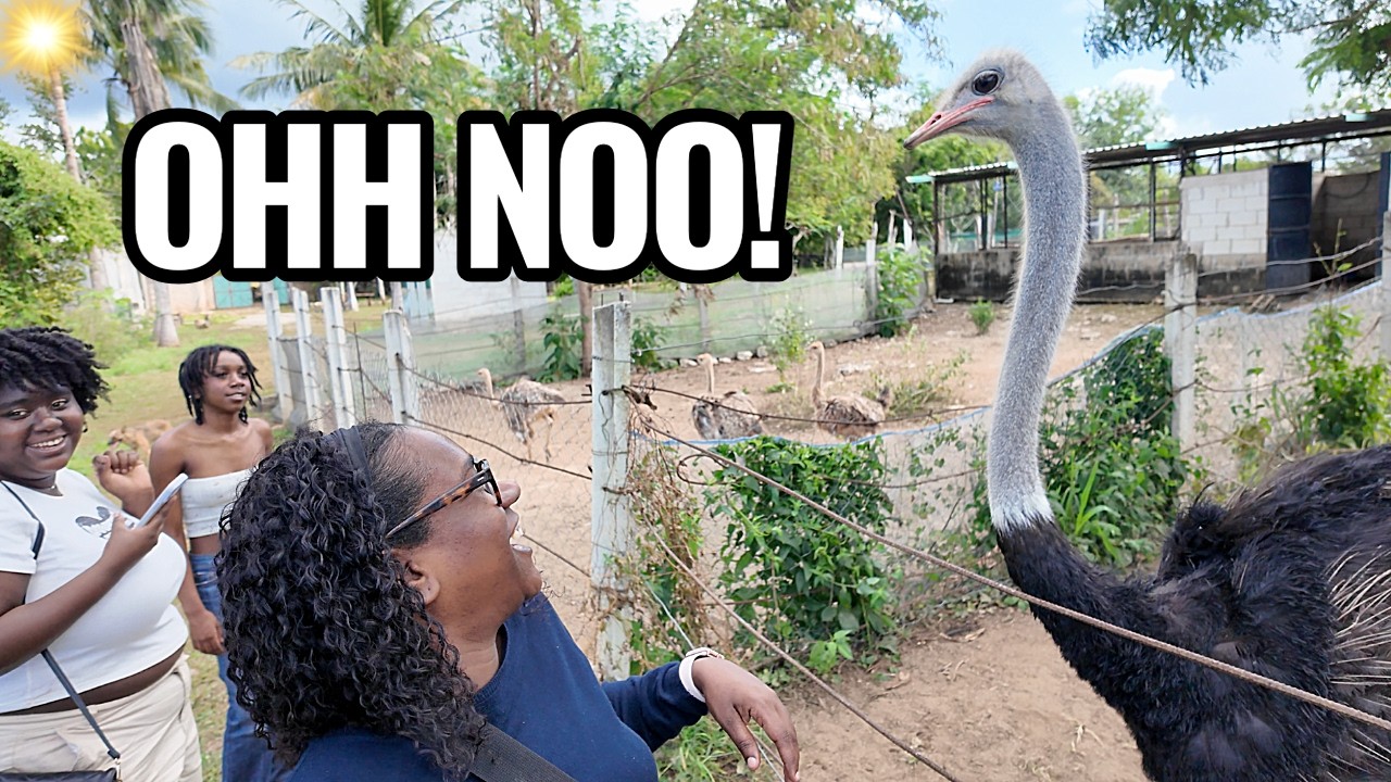 Weird Things in Merida: You Won't Believe What This Ostrich Tried to Do ...
