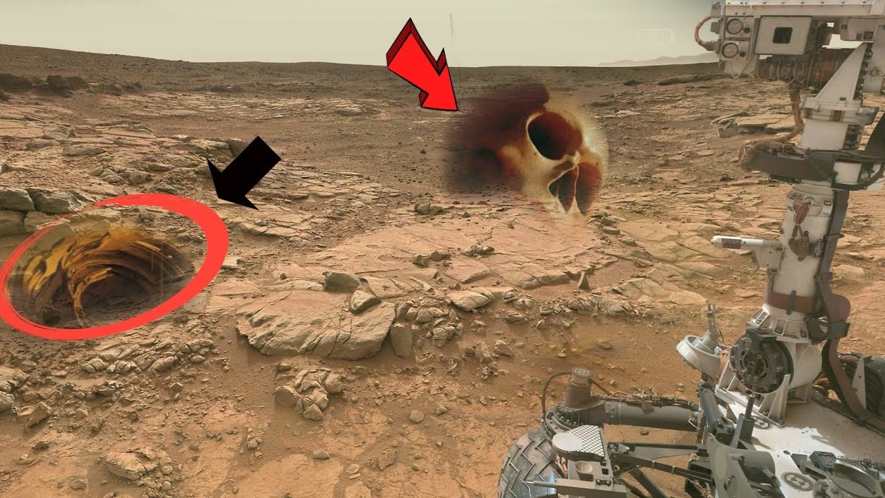 Mars Perseverance Rover Capture New 4k Stunning Video Footage on Mars ...