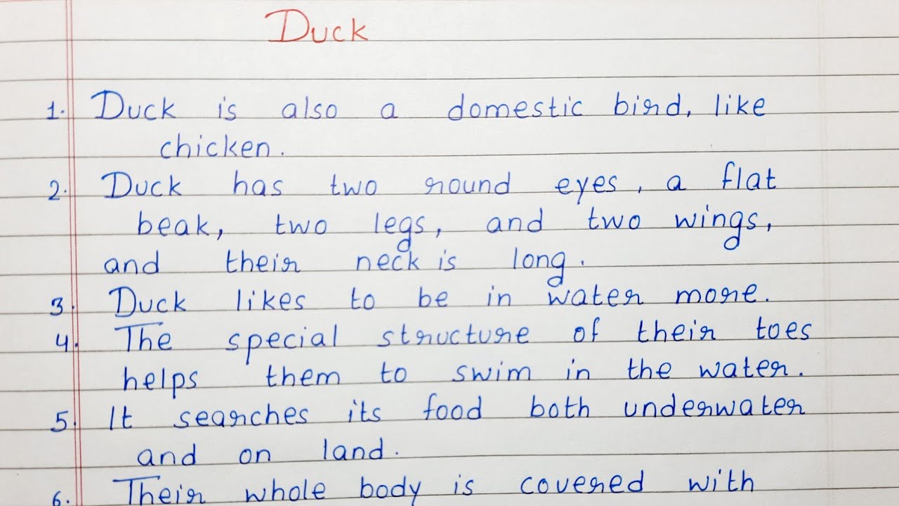 10 lines on Duck in English - Short essay on duck - YouTube