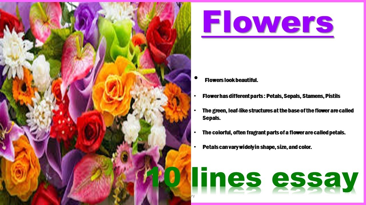 Flowers || 10 lines essay on Flowers - YouTube