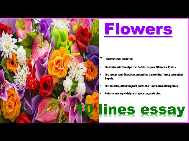 Beautiful Flowers Hd Timeline