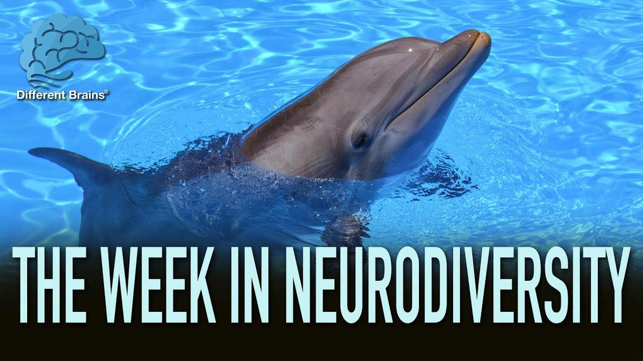 How Dolphin Therapy Is Helping Kids With Special Needs – W.I.N. - YouTube