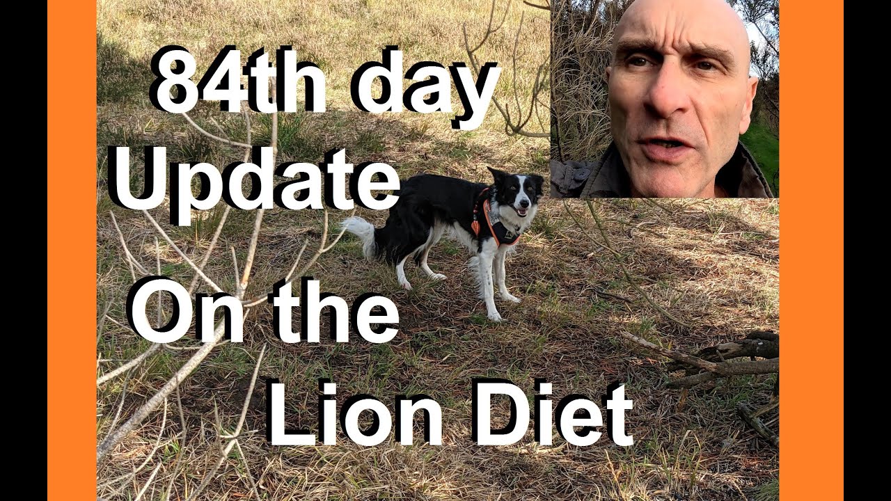 84th day update on my Lion diet challenge, blood glucose, low salt ...