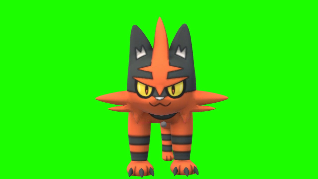 Torracat pokemon animated front chroma - YouTube