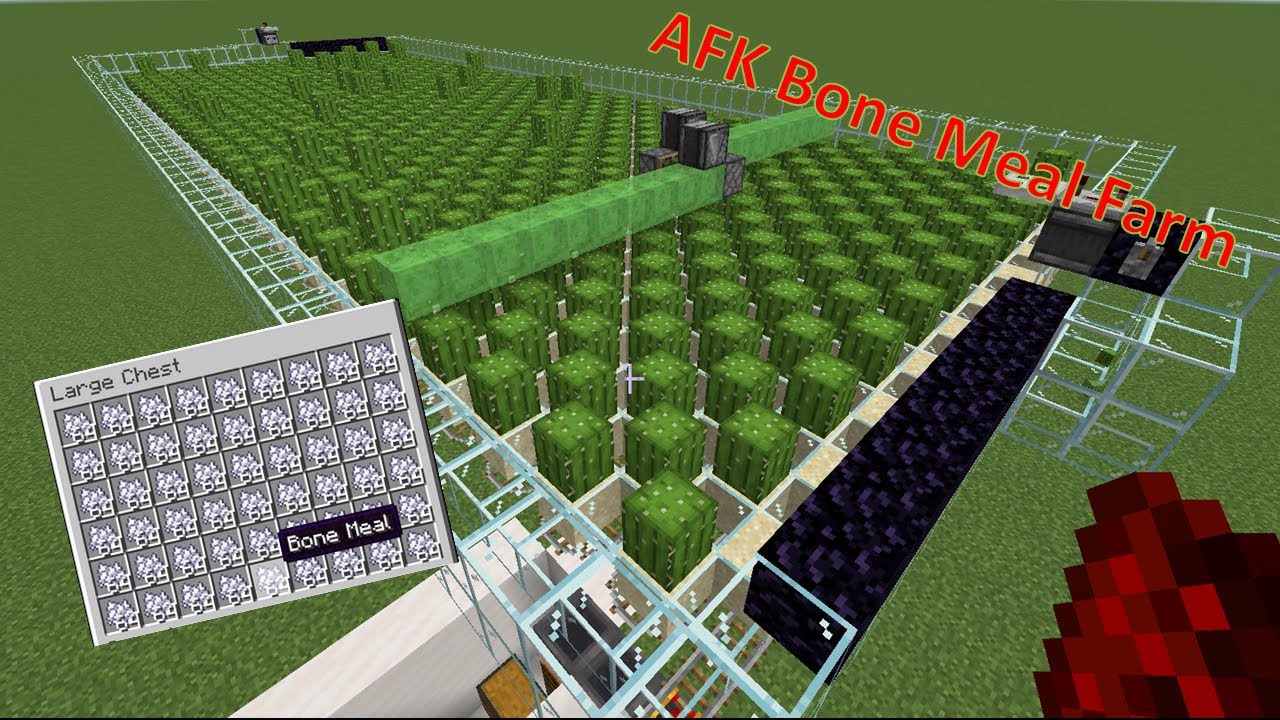 AFK Flying Machine Cactus Bone Meal Farm. Minecraft 1.16 - YouTube