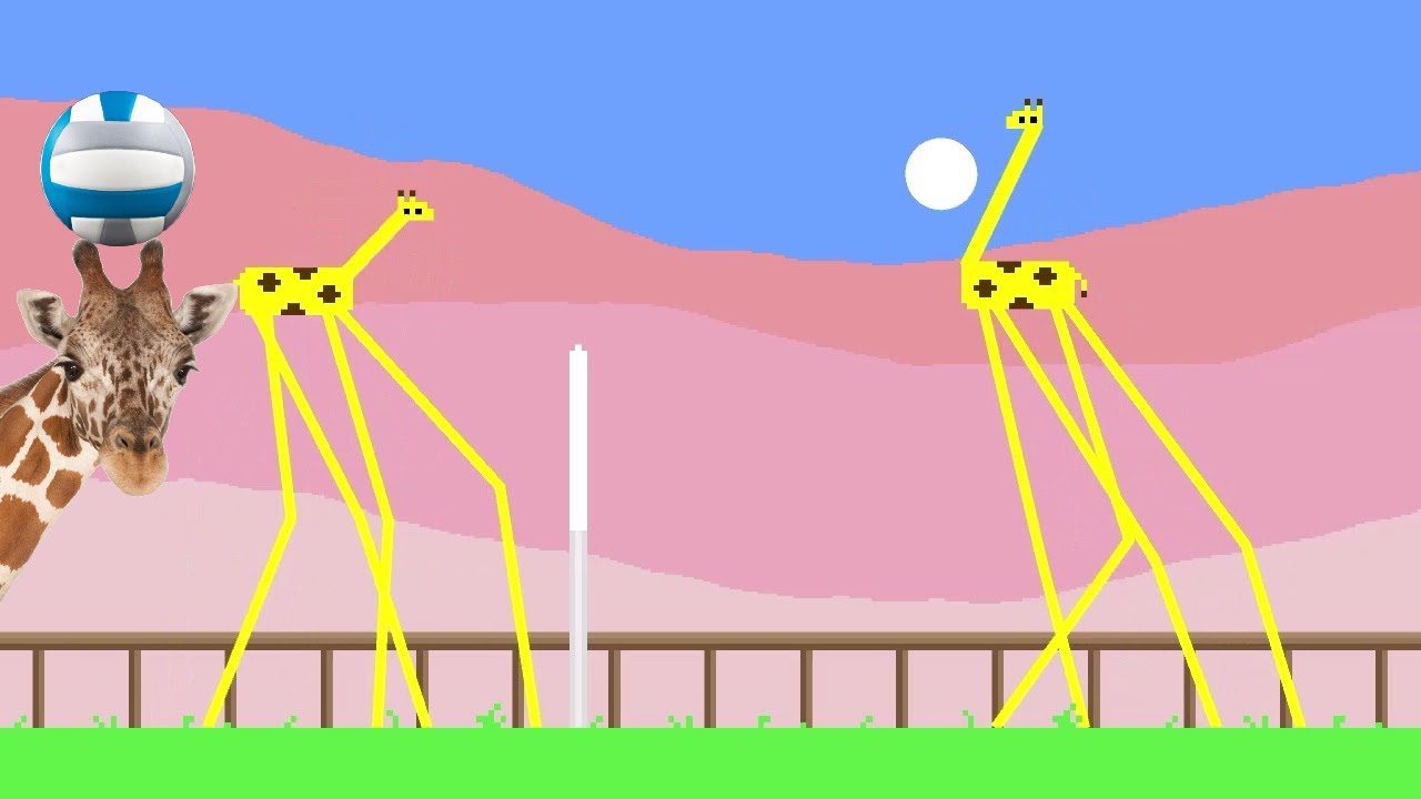 GIRRAFE DOES SPORT! | Giraffe Volleyball Championship 2016 - YouTube