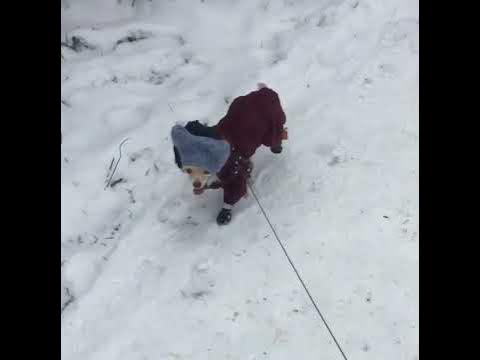 Бонька 💕 - YouTube