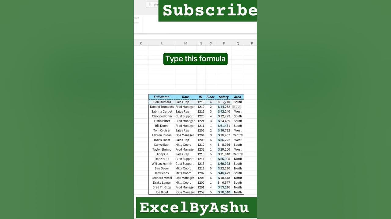 How to create a Search Bar in Excel! 🤯#excel #exceltips #spreadsheets #accounting #workhacks #yt ...
