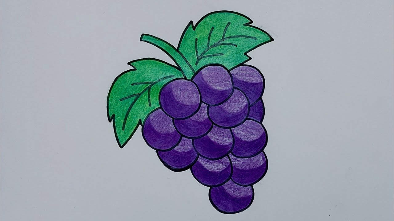 How to draw Grapes 🍇 || step by step (very easy) || drawing || art ...