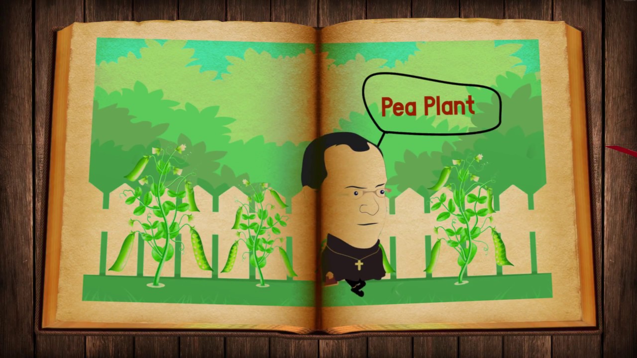 Gregor Johann Mendel (early life and education), Book Animation - YouTube