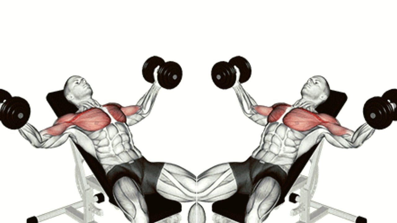 Upper Chest Dumbbell Exercises To Build Mass and Strength - YouTube