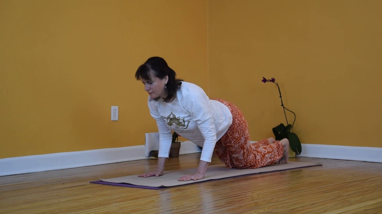 TriYoga Pañca Bow Flow with variations - YouTube
