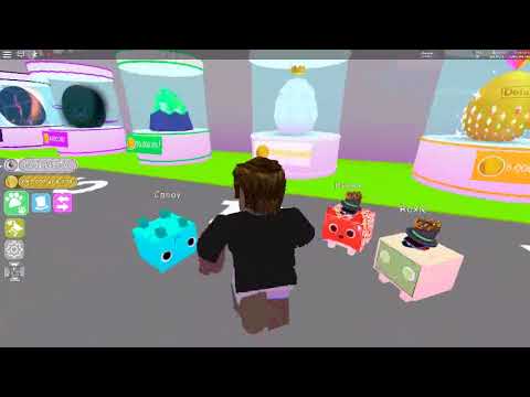 pet simulator command - YouTube