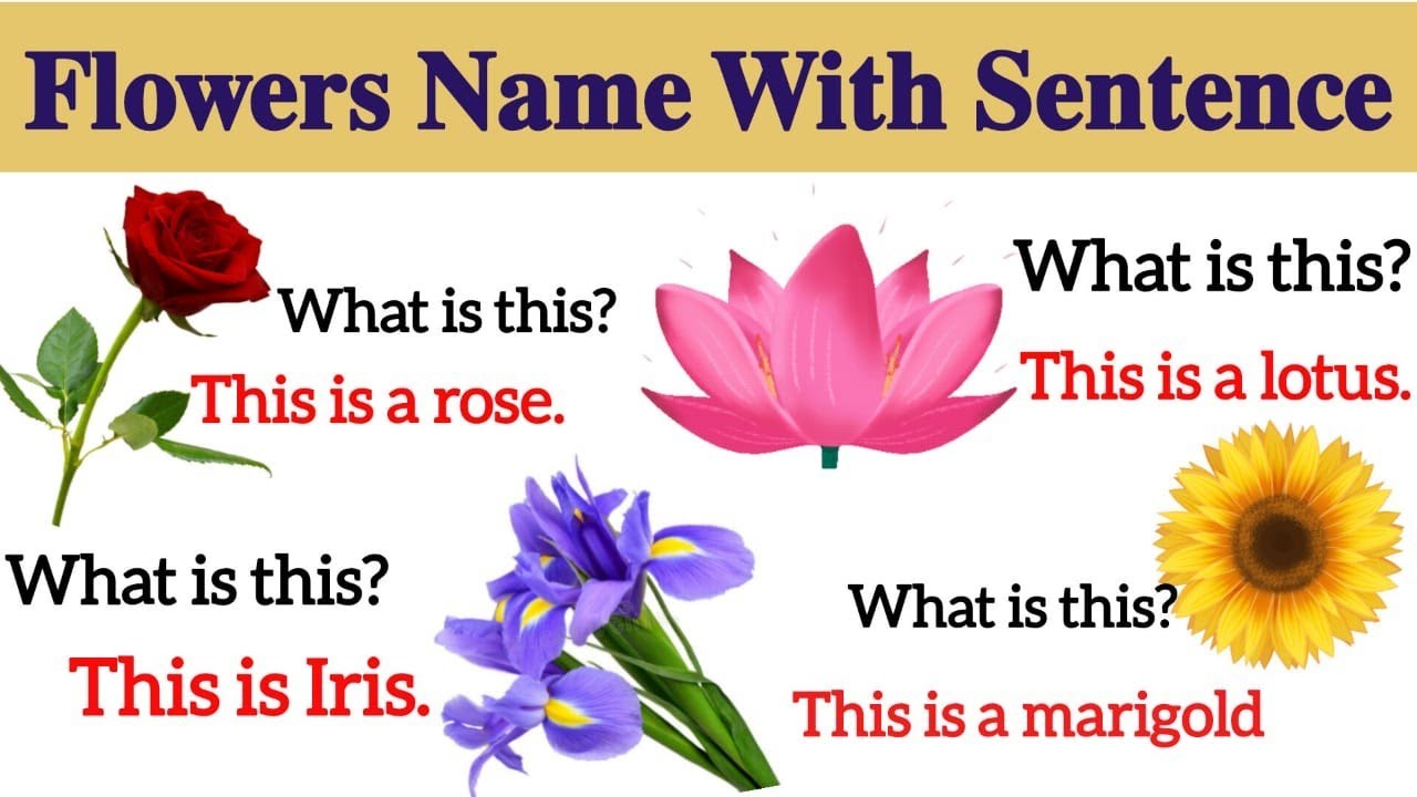 Flowers Name With Sentence | flowers name with pictures and videos ...