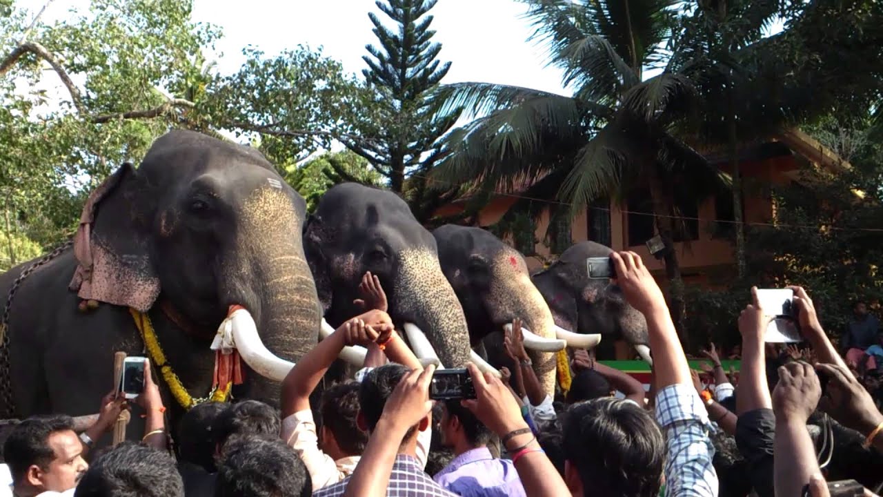 Thalappokka malsaram at Kattuvally Pakalpooram 2014 - YouTube