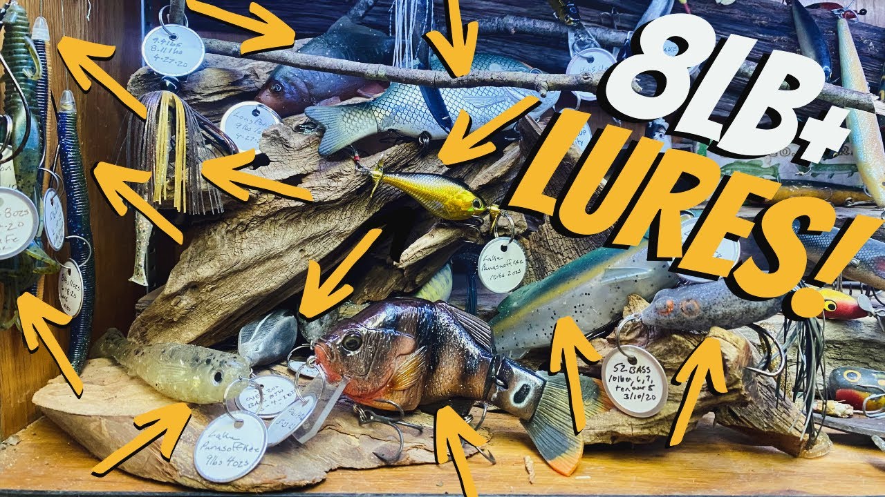 All these lures have caught an 8-POUND PLUS bass! - YouTube