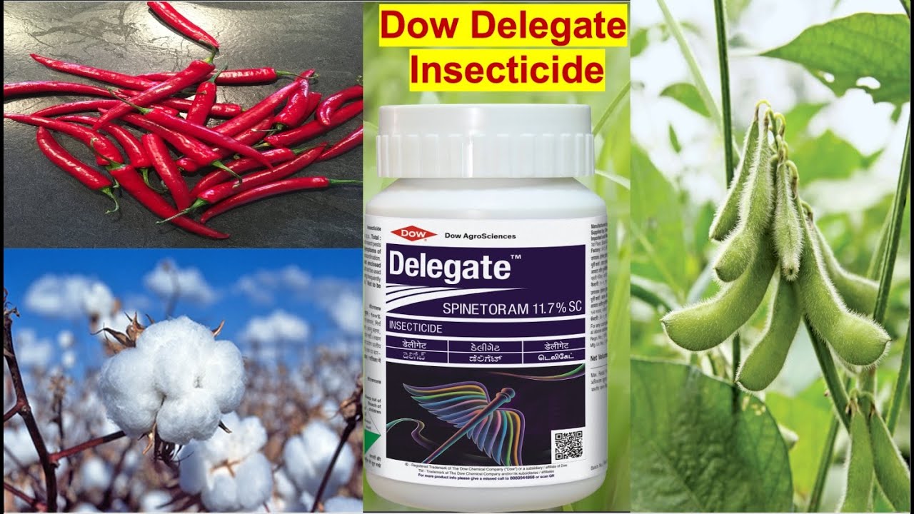 Dow Delegate | Insecticide | World of Agro | Spinetoram 11.7% SC | Dow ...