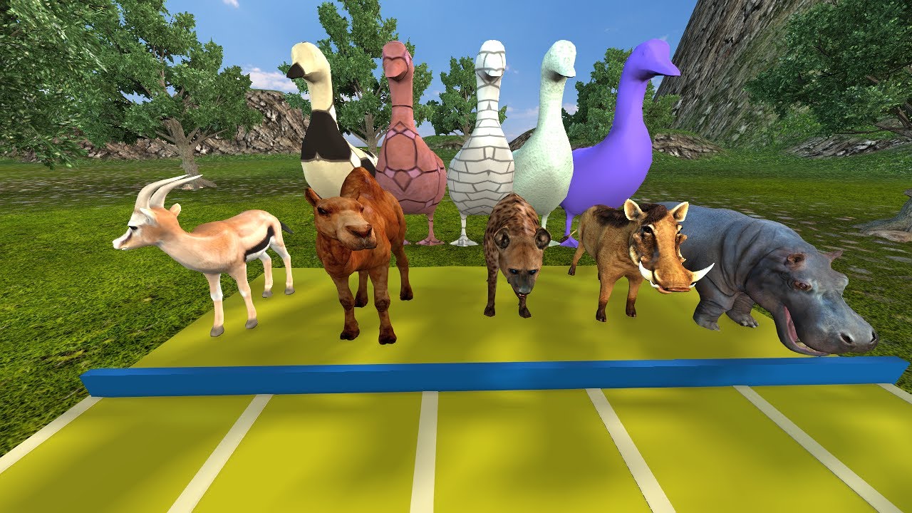 Animal Running Race Videos For Kids || Toys For Children || - YouTube