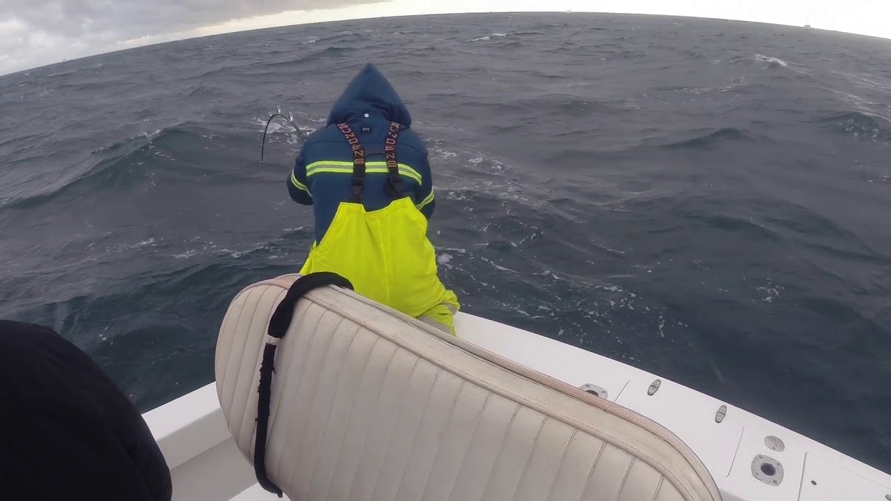 Landing a 102” 500+ lb Bluefin Tuna on board the f/v Hell on Reels in ...