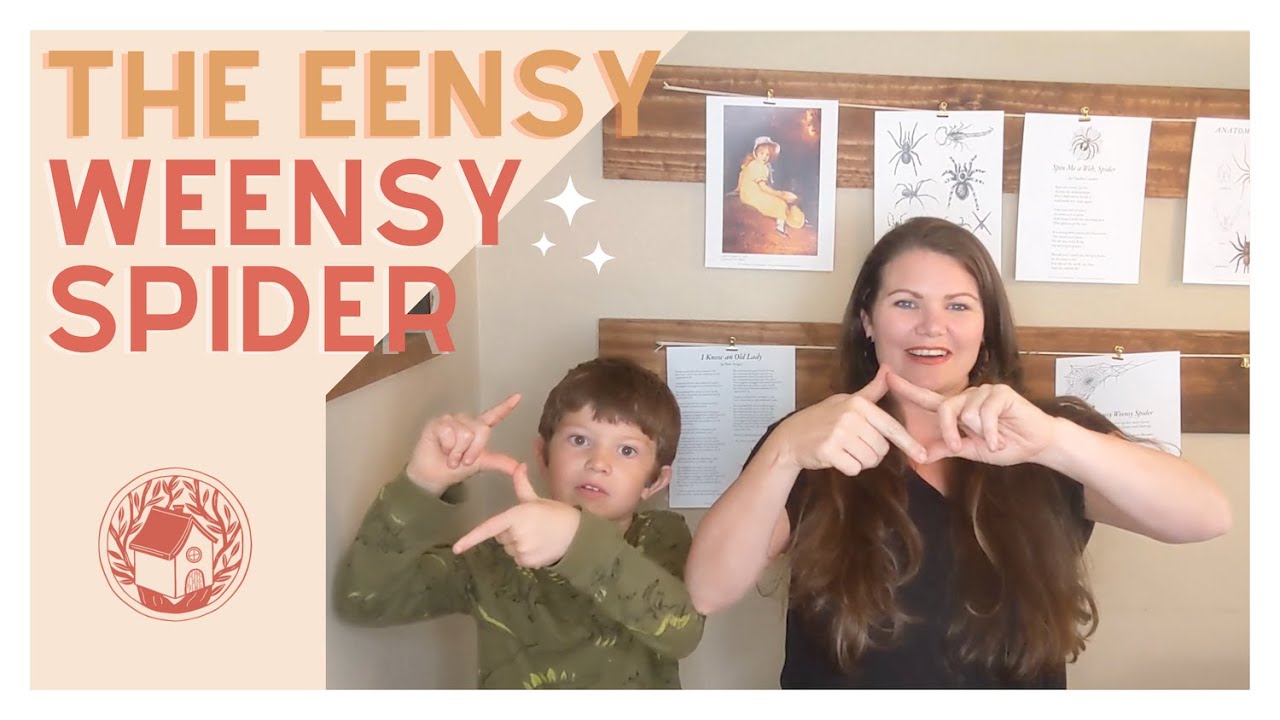 The Eensy Weensy Spider Hand Rhyme - THNS Week 4: Arachnids - YouTube