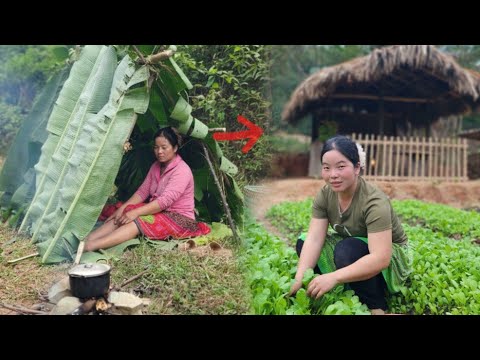 Growing Wild Vegetables Changed a Single Mother’s Life - Ly Tieu Mila