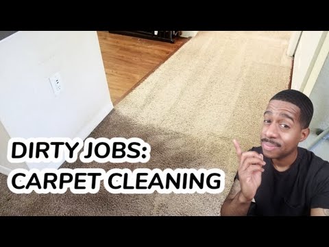 Destroyed Carpets!! | Carpet cleaning in Tampa ,Florida - YouTube
