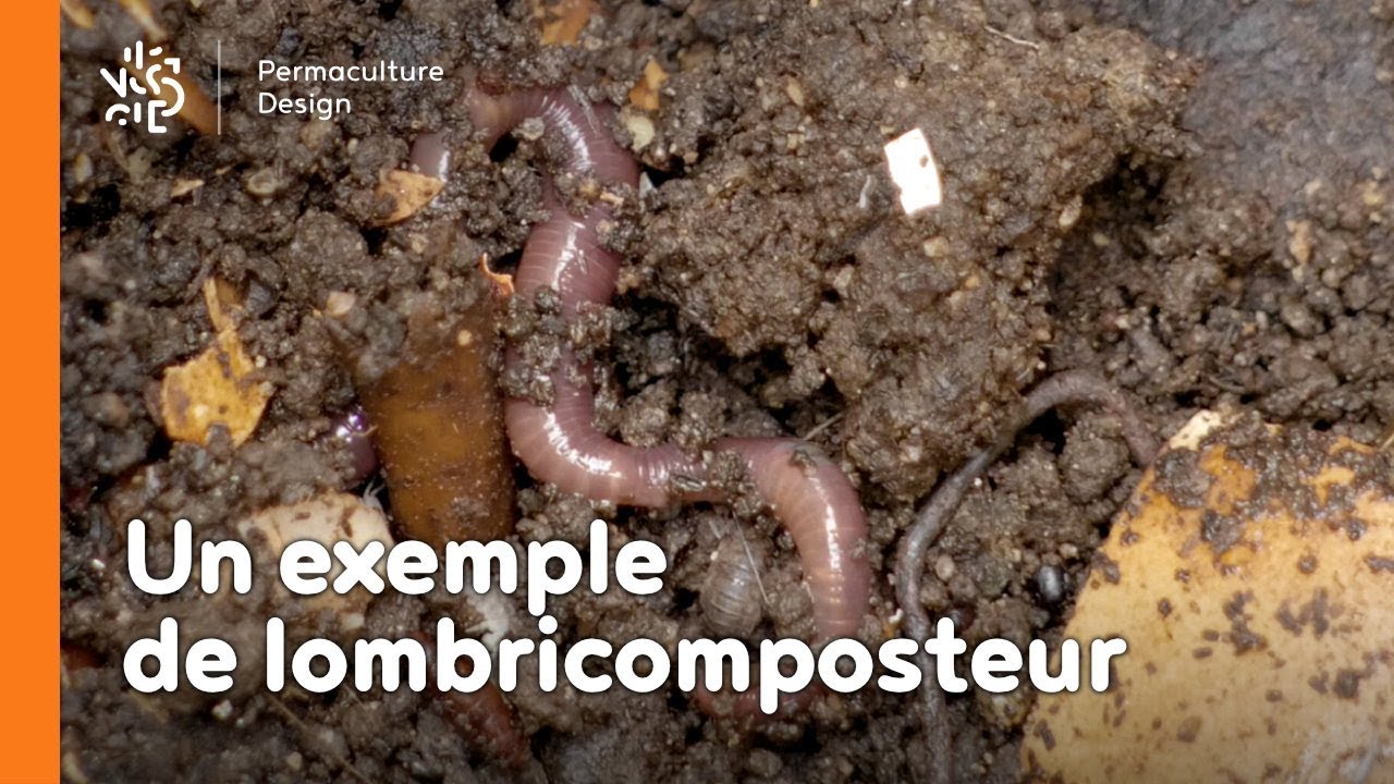 La minute permaculture #15 : Un exemple de lombricompost. - YouTube
