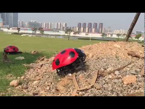 DIY Intelligent Ladybug Robot - YouTube