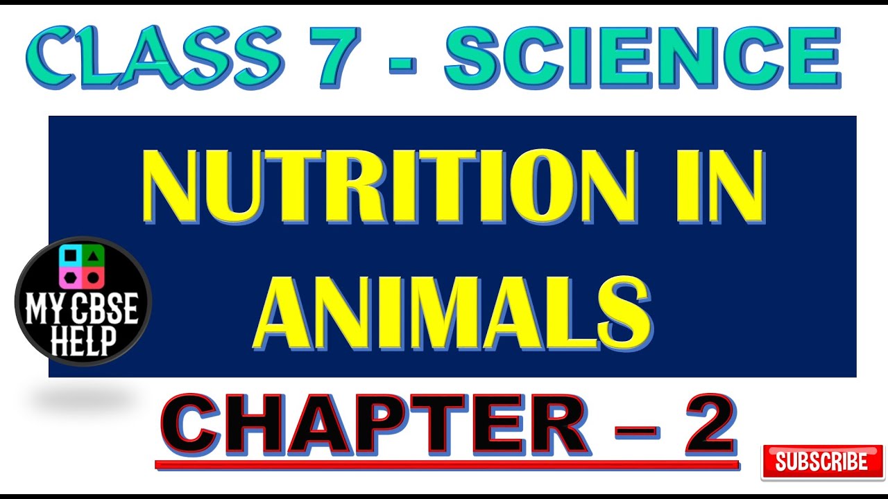 Class 7 Science Chapter 2 Nutrition in Animals PART 1 Science Class 7 ...