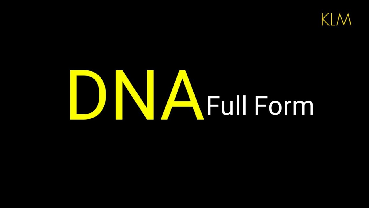 DNA Full Form - YouTube