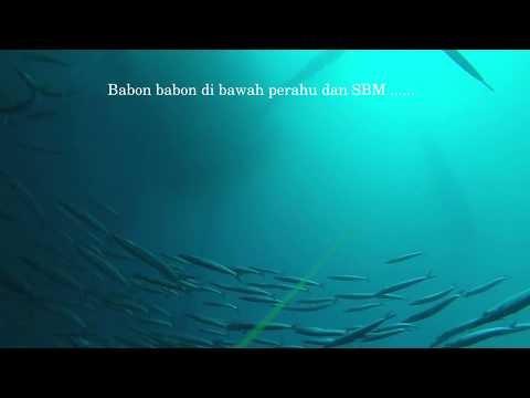 Akhirnya rahasia mancing di bawah spot SBM cilacap terungkap !!!
